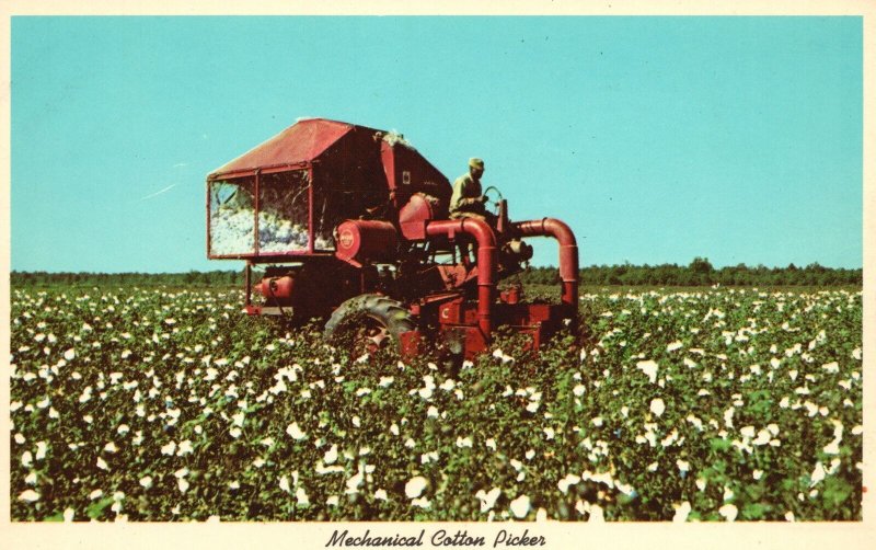 Vintage Postcard Mechanical Cotton Picker Modern Machineries In Cotton ...