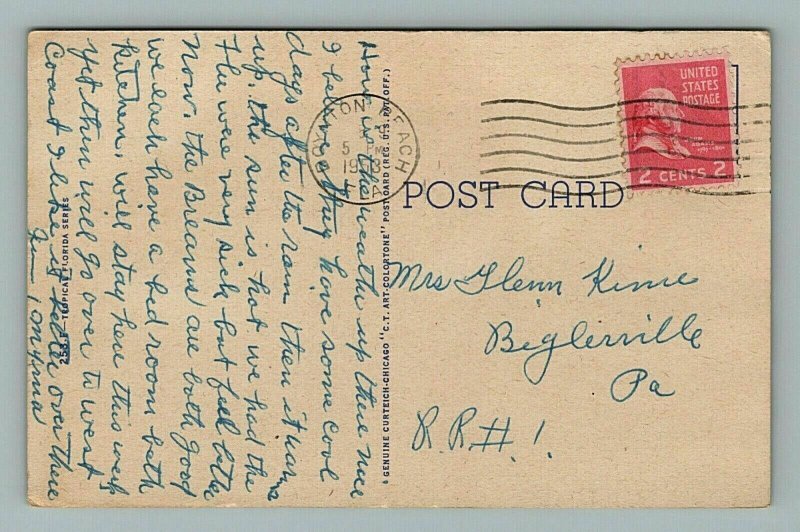 Legend of the Spanish Moss Poem Postcard | Other / Unsorted, Postcard ...