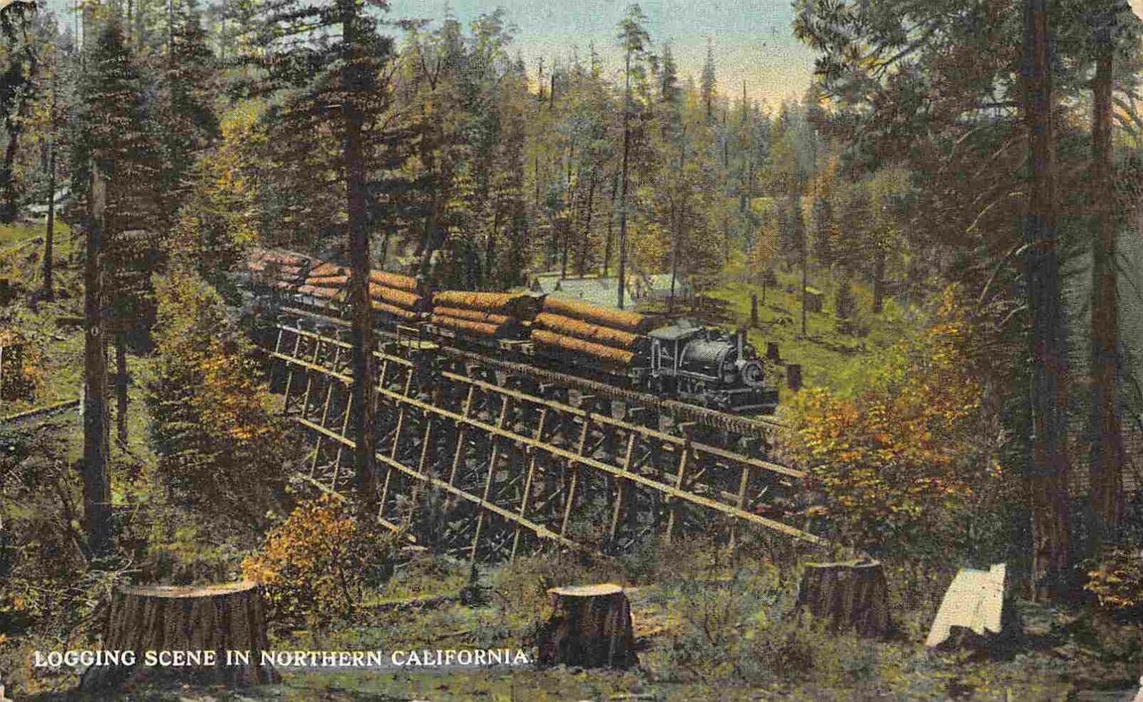Logging Railroad Train on Trestle Bridge Northern California 1915 ...