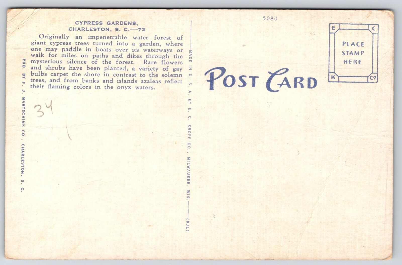 Vintage Postcard Water Forest of Giant Cypress Trees Gardens Charleston ...