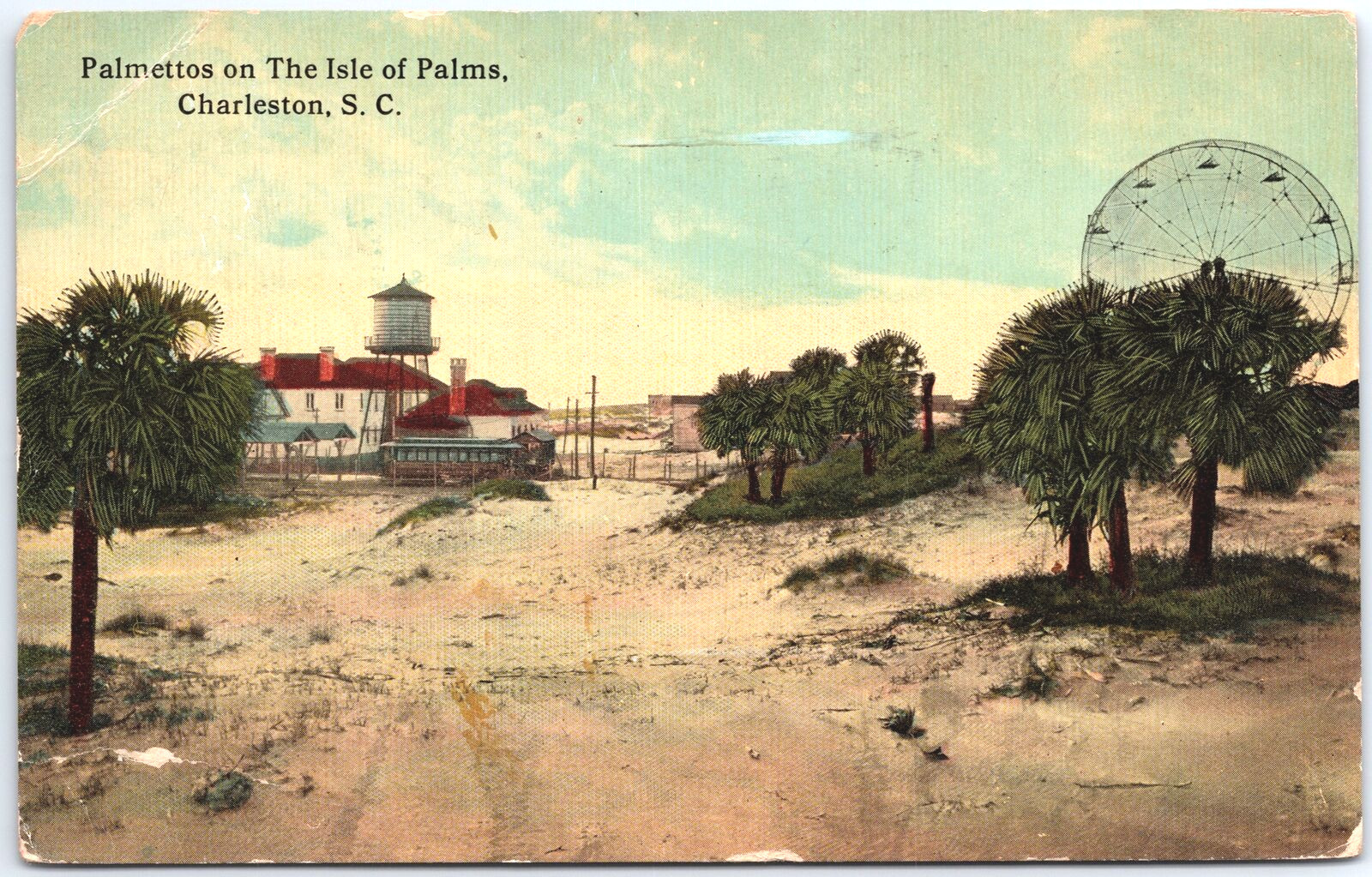 Vintage Postcard Palmettos on the Isle of Palms Charleston South ...
