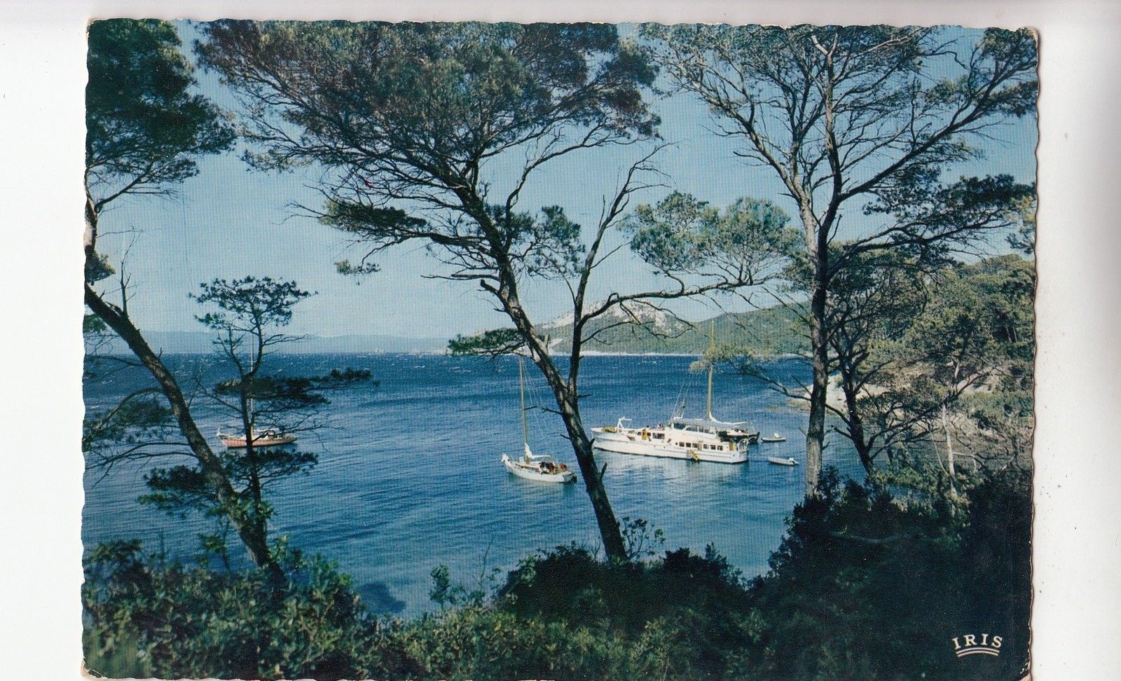 BF22199 pinedes et calanques cote d azur france front/back image ...