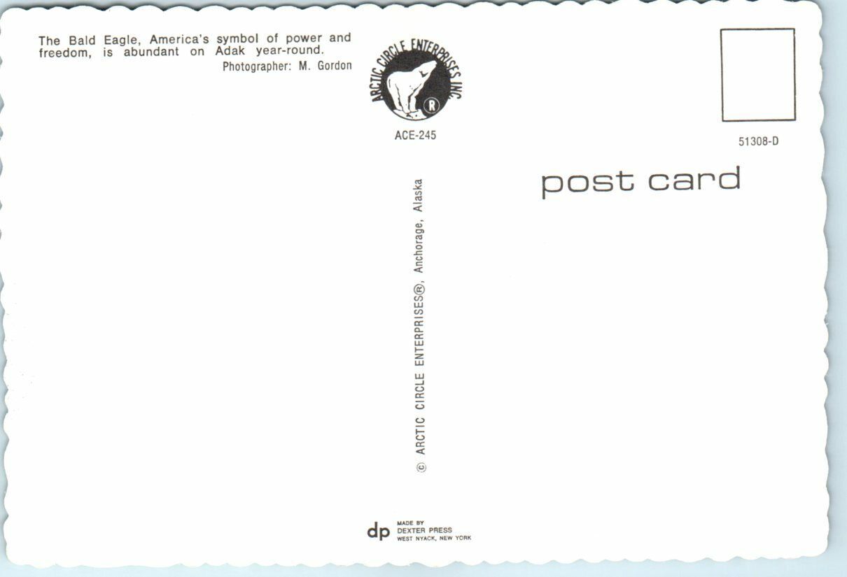 Postcard - The Bald Eagle, America's symbol of power and freedom - Adak ...