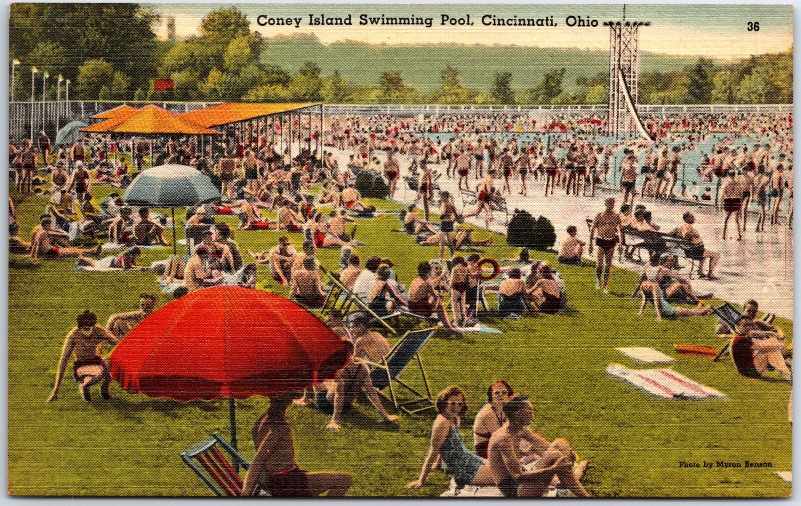 Vintage Postcard the Coney Island Swimming Pool Located Cincinnati Ohio ...