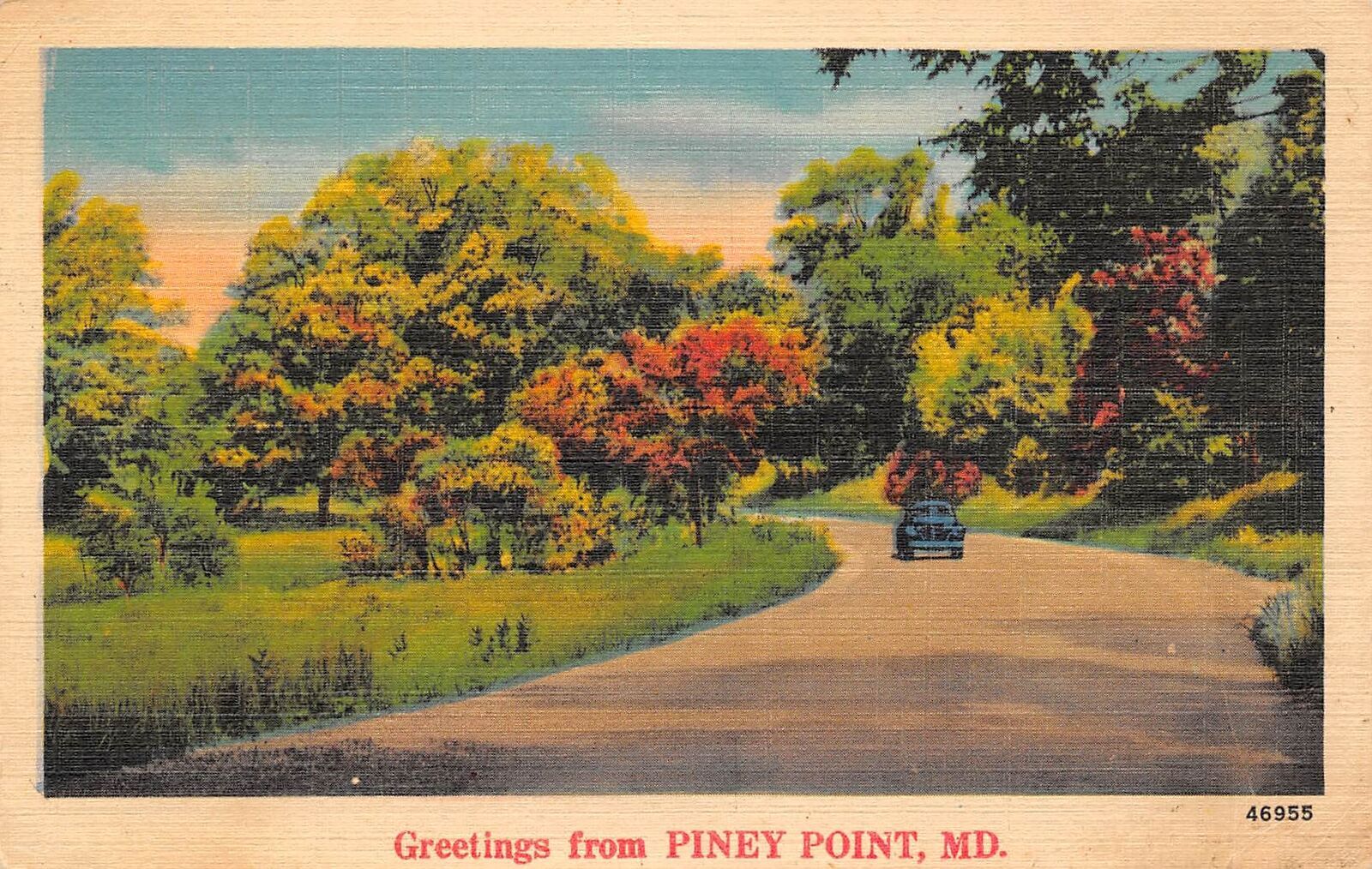 Piney Point Maryland Greetings From Piney Point, Color Linen Vintage PC ...