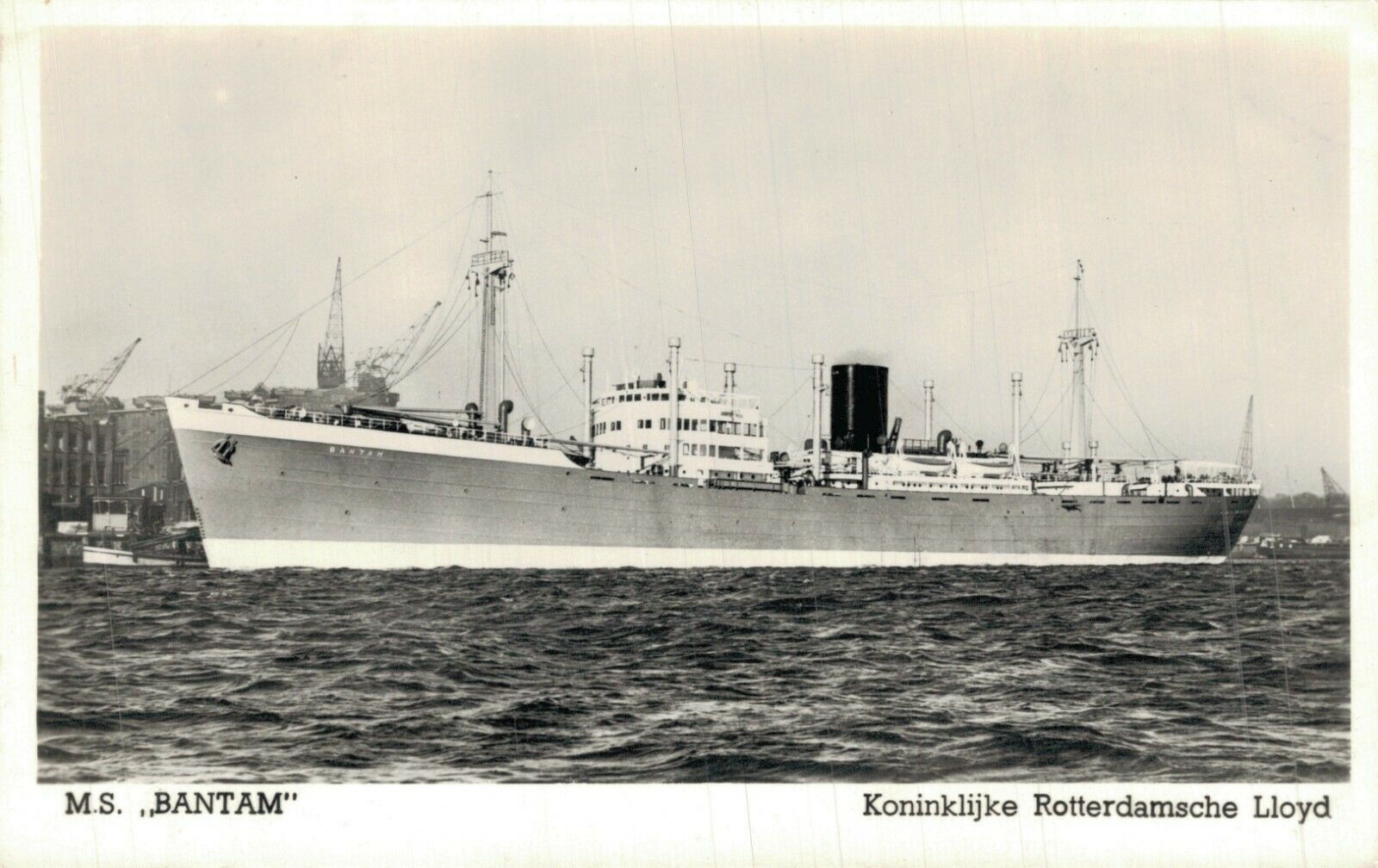 Koninklijke Rotterdamsche Lloyd M.S. Bantam Ship Vintage RPPC 08.28 ...