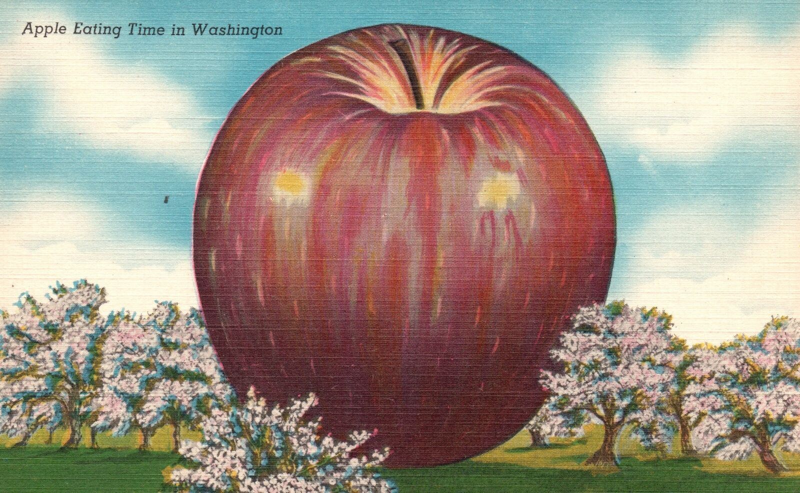 Vintage Postcard 1930's Portrait of Apple Eating Time in Washington WA ...