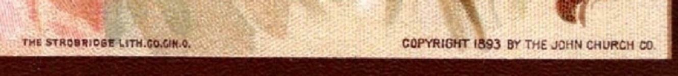 1893 the Everett Piano*John Church Co*Strobridge Litho*Victorian Trade ...