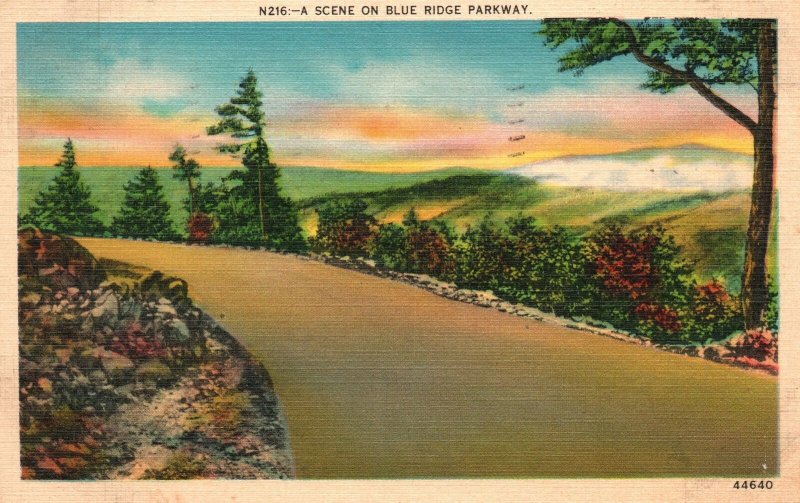 Vintage Postcard 1940 A Scene on Blue Ridge Parkway US National Park ...