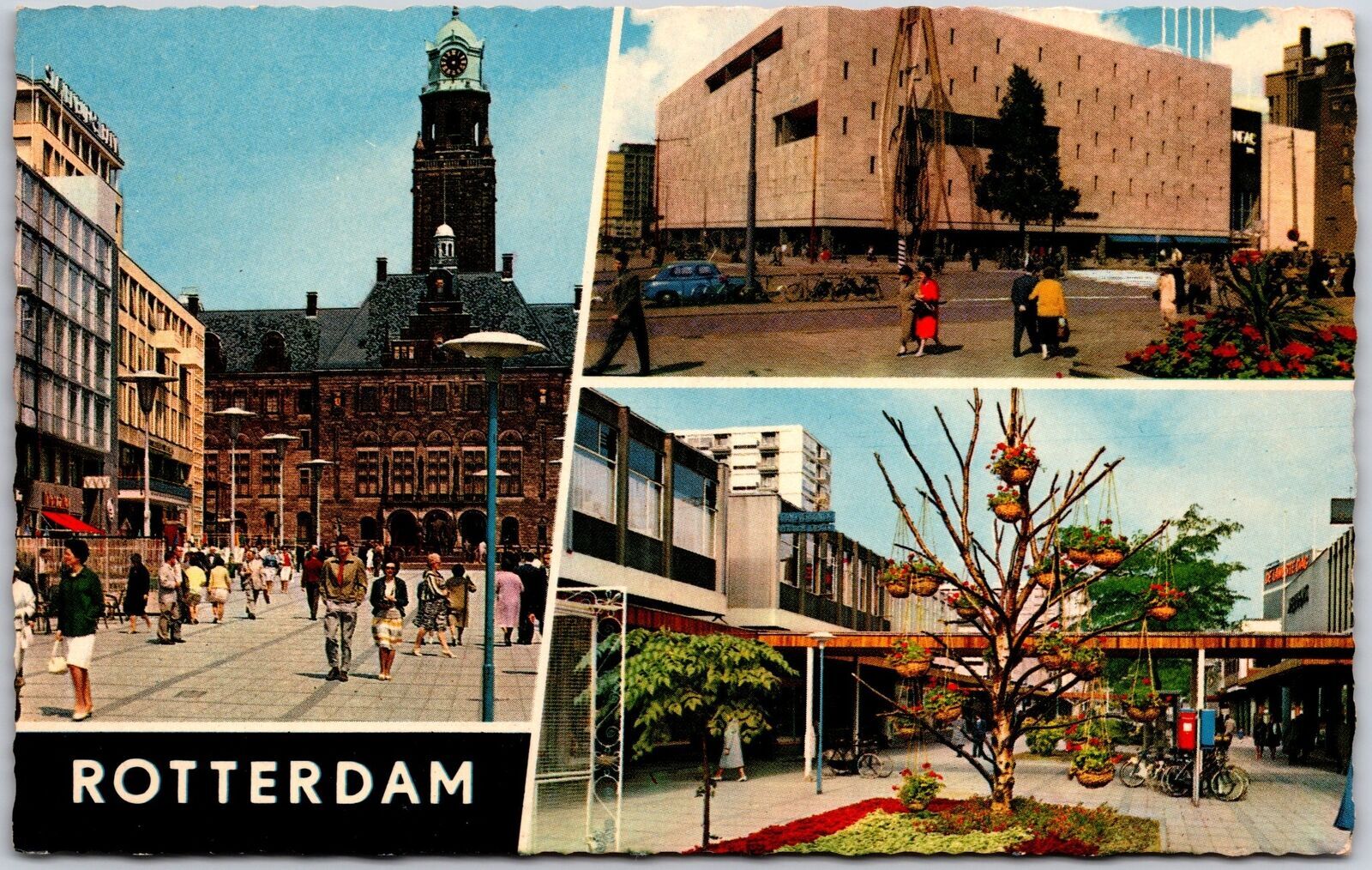 Netherlands, Rotterdam, Famous Landmarks, Town Hall Building, Vintage ...