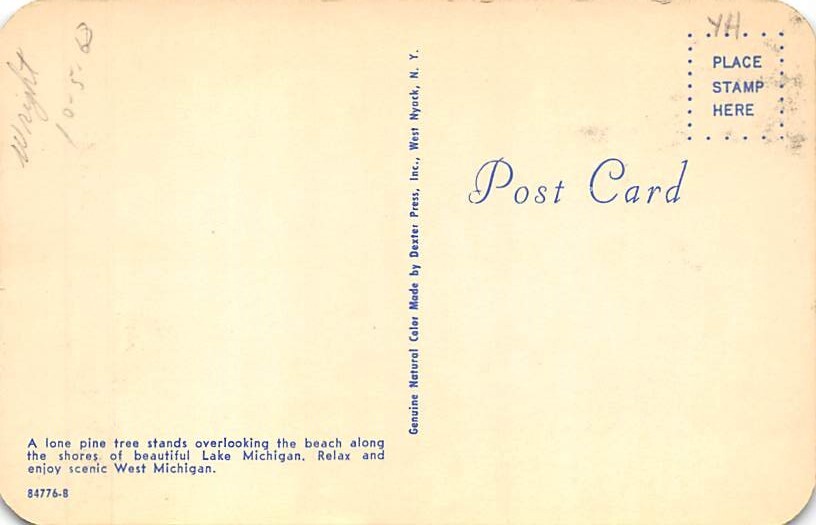 The White Pine Michigan State Tree White Pine State Tree MI | Topics ...