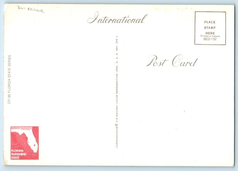 c1950's Risque Beach Bathing Beauty Florida Or Bust Vintage Unposted ...