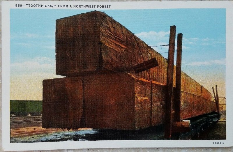 vintage Giant Toothpicks Spruce Timbers from Oregon Forest postcard a2 ...