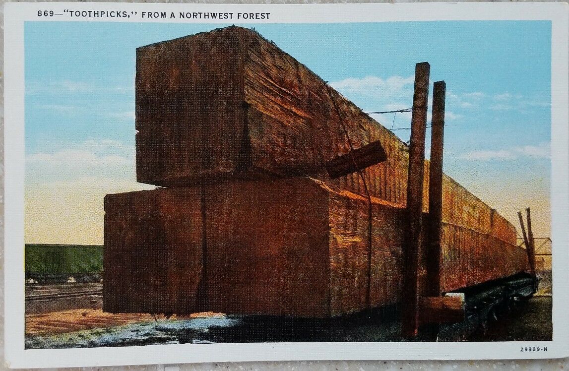 vintage Giant Toothpicks Spruce Timbers from Oregon Forest postcard a2 ...