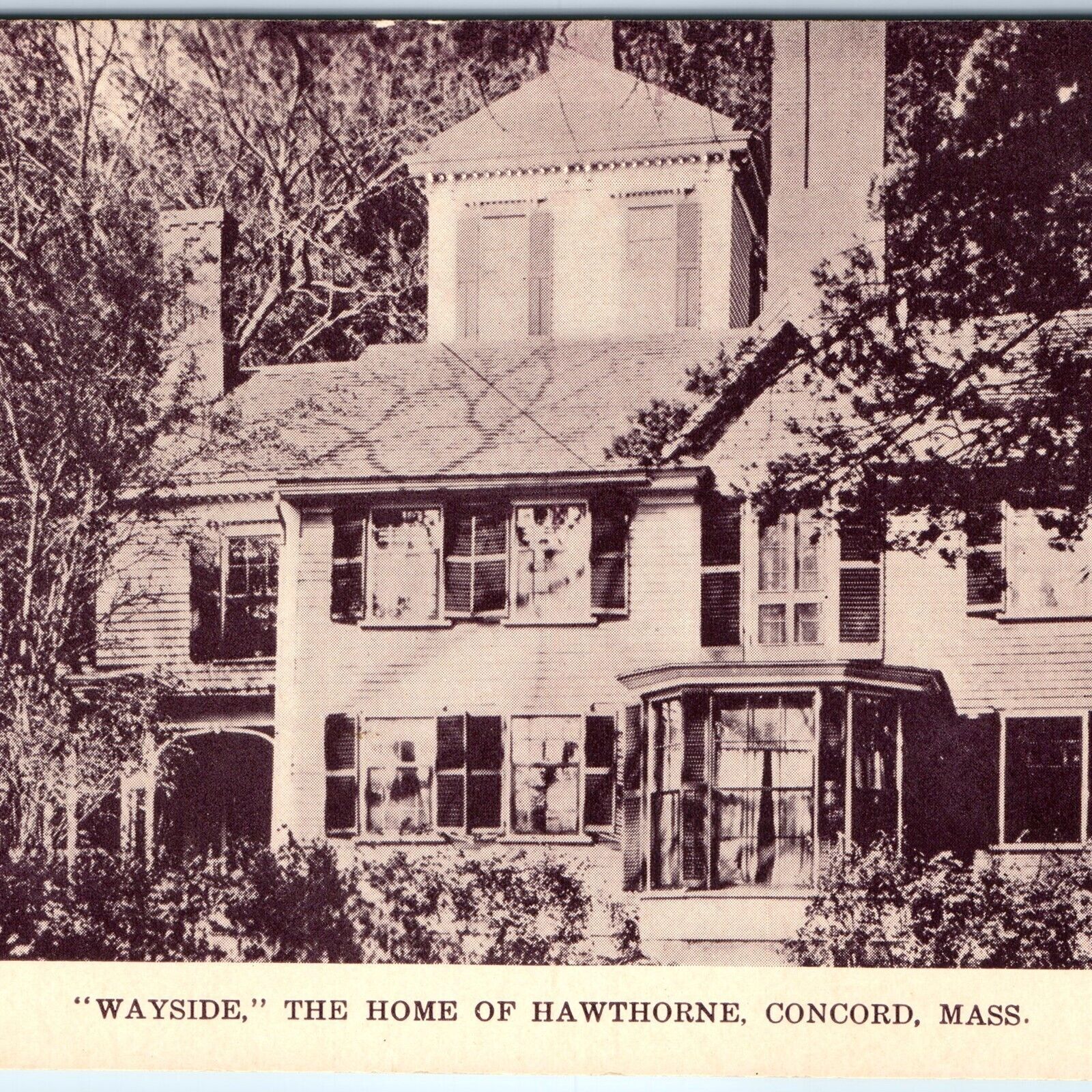 c1910s Concord, MA Wayside Home of Hawthorne GN Tanner Litho Photo ...