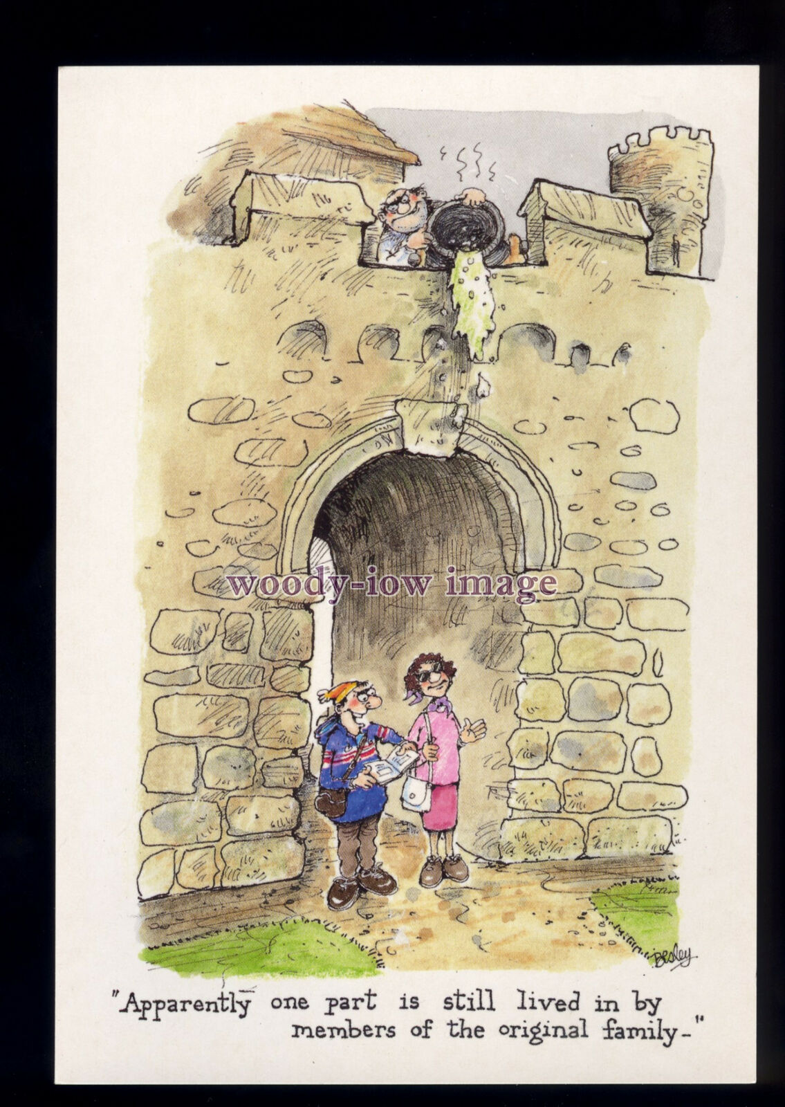 BES175 - Apparently original family still live there! - comic postcard ...