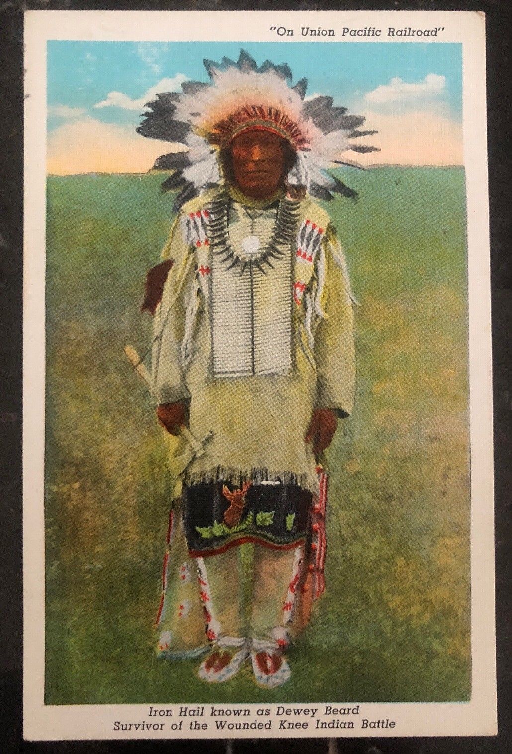Mint USA Picture Postcard Native American Indian Sioux Iron Hail ...
