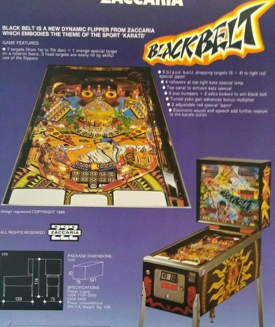 Blackbelt Zaccaria Pinball FLYER Original Game Art Print Karate Fight ...