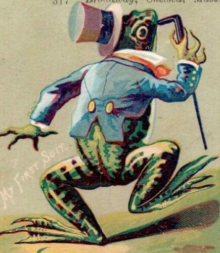 Anthropomorphic Frog MY Finest Suit MRS Kelley Apothecary Chelsea MA ...