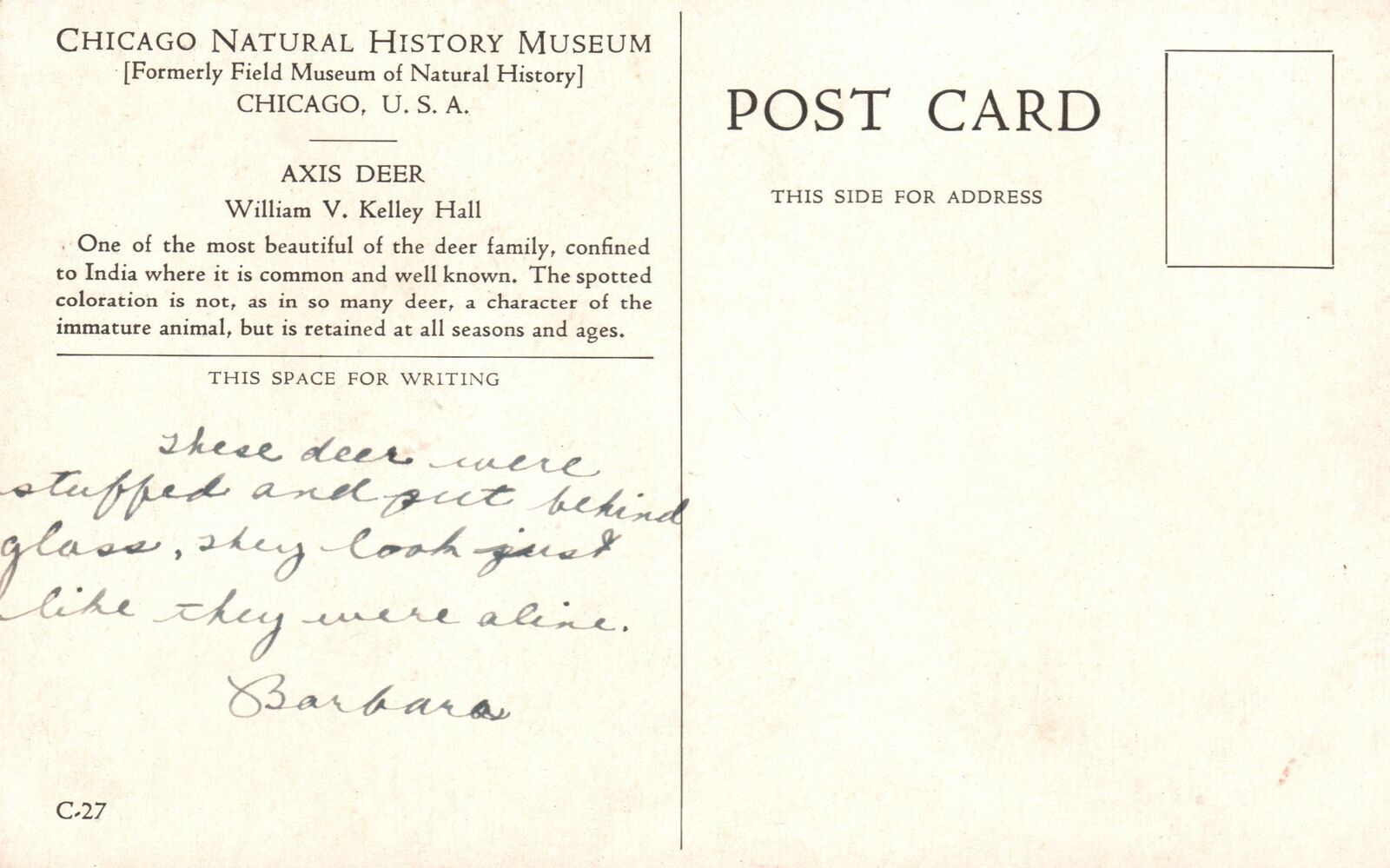 Vintage Postcard Axis Deer William V. Kelly Hall One Of The Most ...