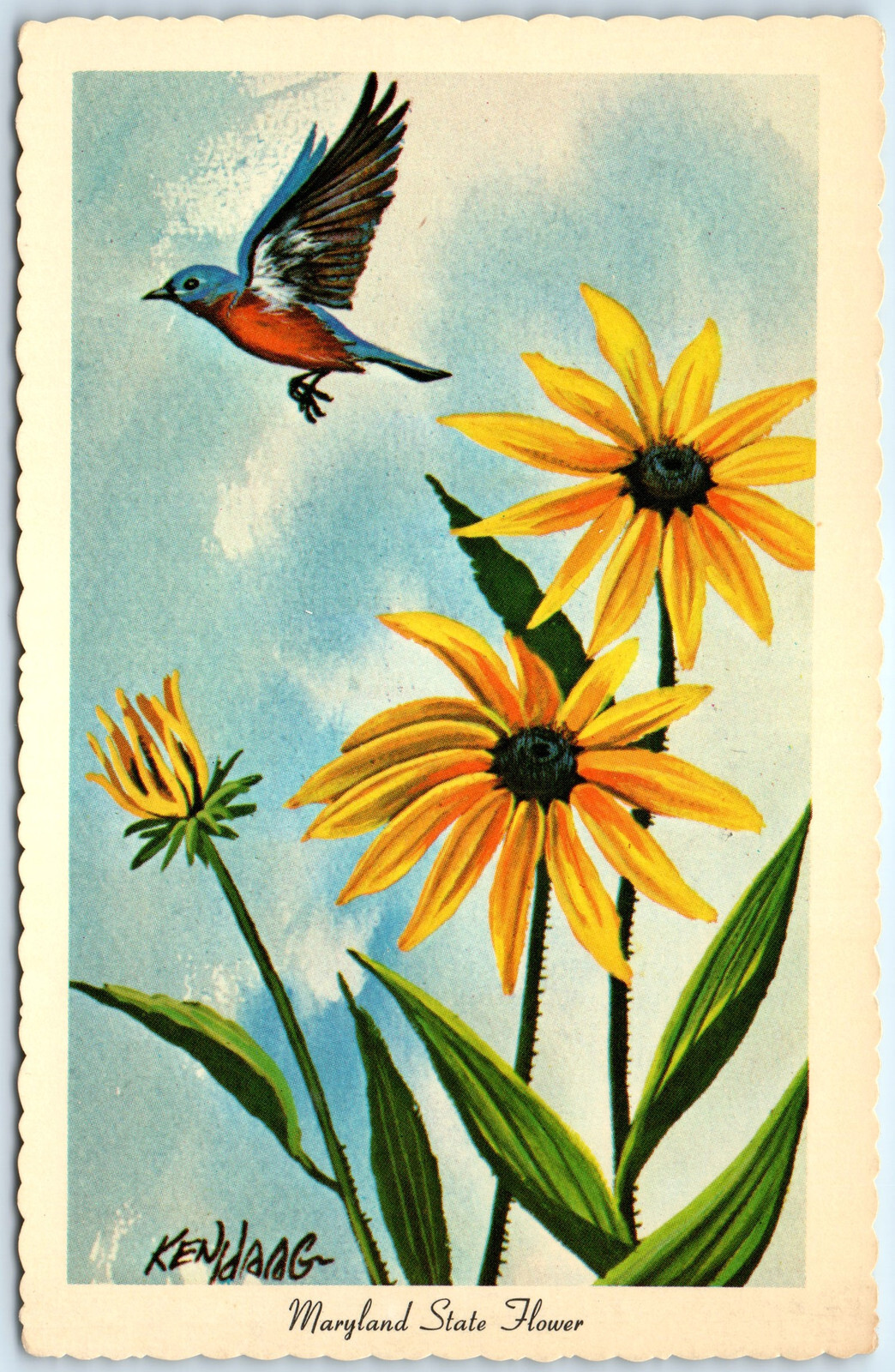 1966 MD Maryland State Flower Black-eyed Susan Bird Ken Haag Painted ...