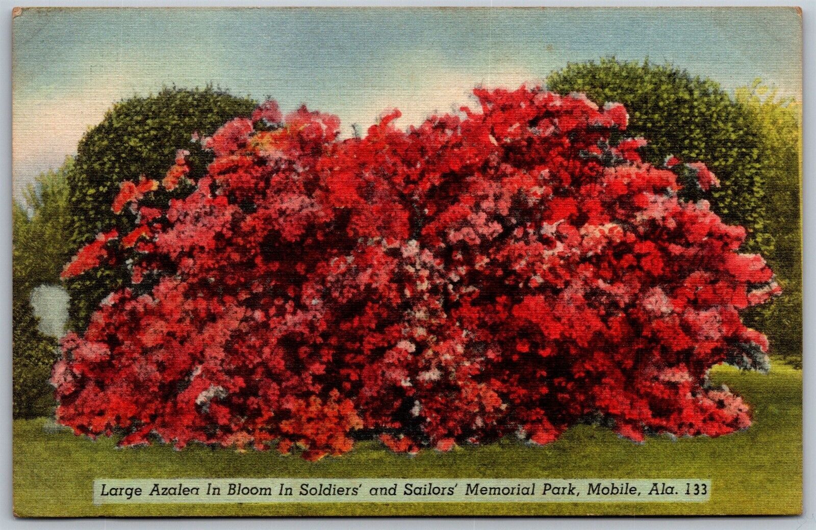 Vtg Mobile Alabama AL Azalea in Bloom Soldiers & Sailors Memorial Park ...