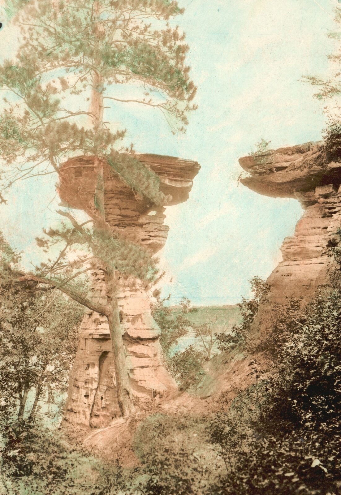 Vintage Postcard Rock Formations Tourist Attraction Sightseeing Forest ...