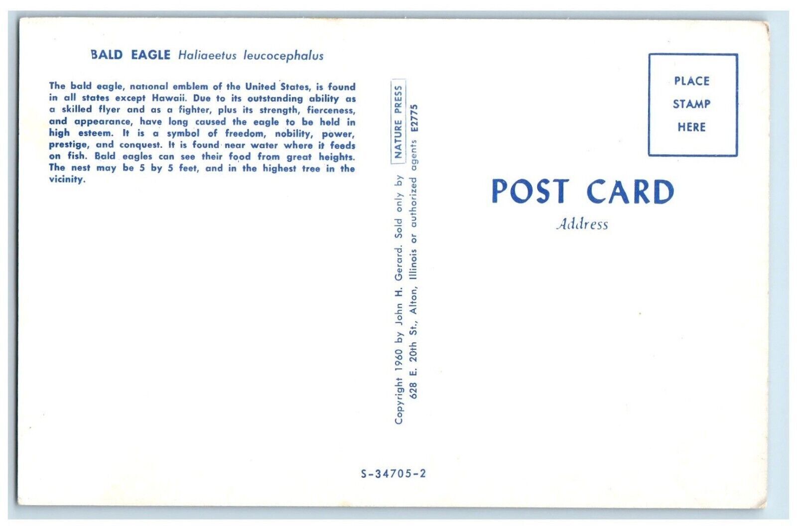 Bald Eagle National Emblem Of United States America Unposted Vintage ...