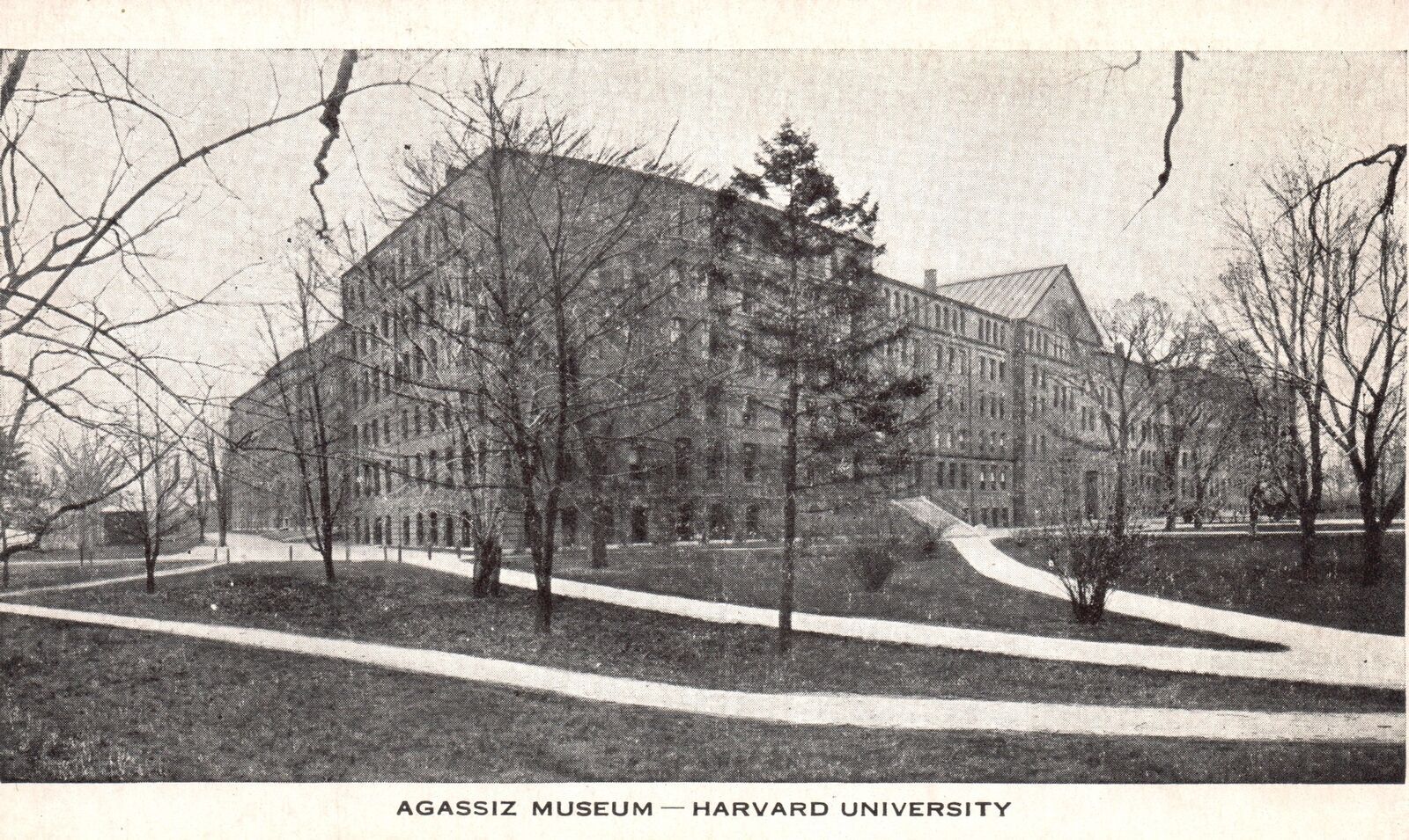 Vintage Postcard Agassiz Museum Harvard University Building ...