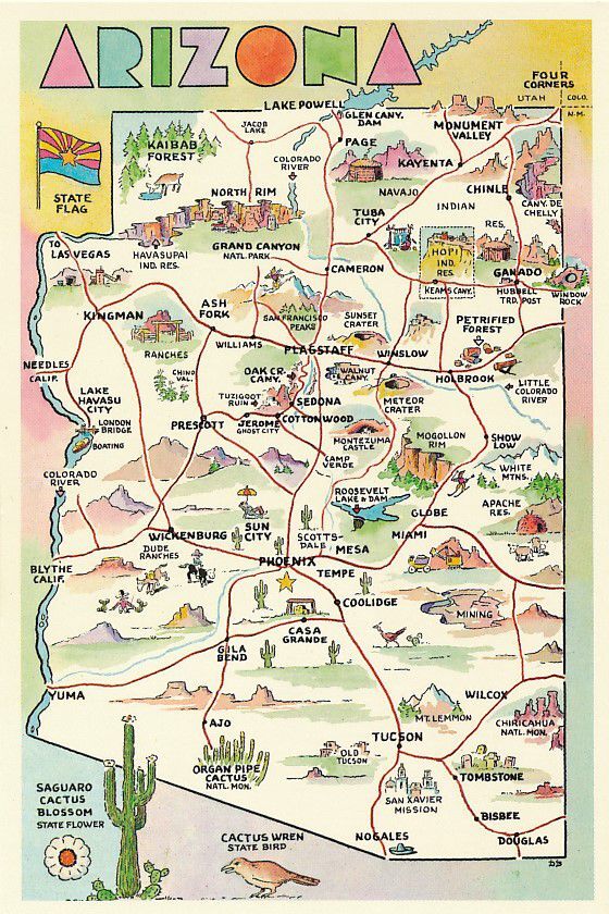 Map of Arizona - The Grand Canyon State - State Flower Saguaro Cactus ...