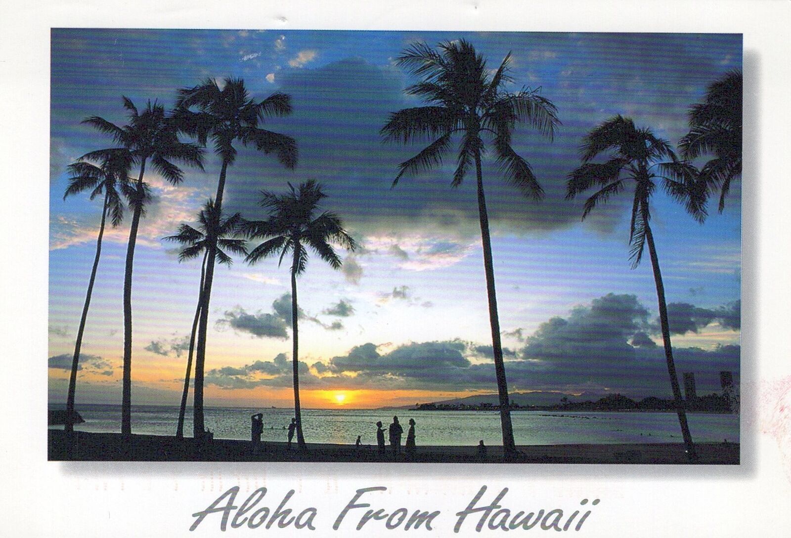 Vintage Postcard Continental Size "Aloha From Hawaii" Wish YOU Were ...