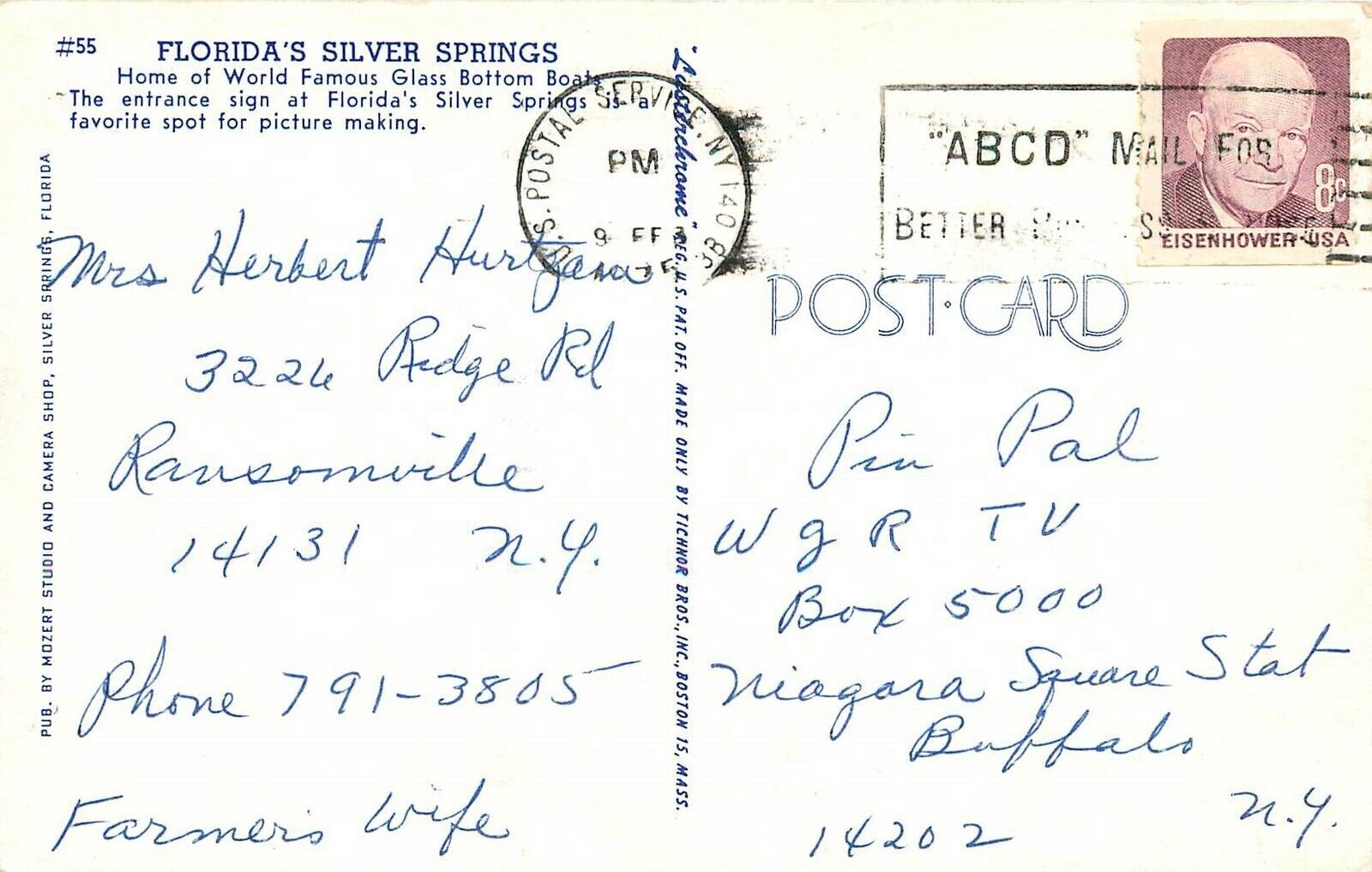 Silver Springs Florida Entrance people posing Mozert Tichnor Postcard ...