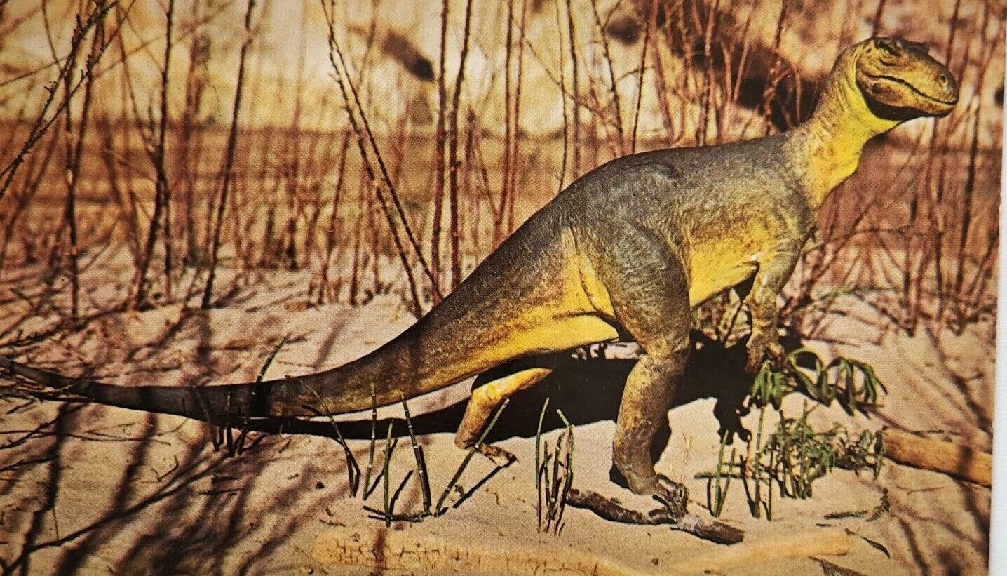 Antrodemus Dinosaur Model Artist Charles R. Knight Dinosaur Quarry CO ...