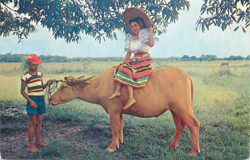 Philippines Carabao Postcard Ethnic types and scenes woman riding cow ...