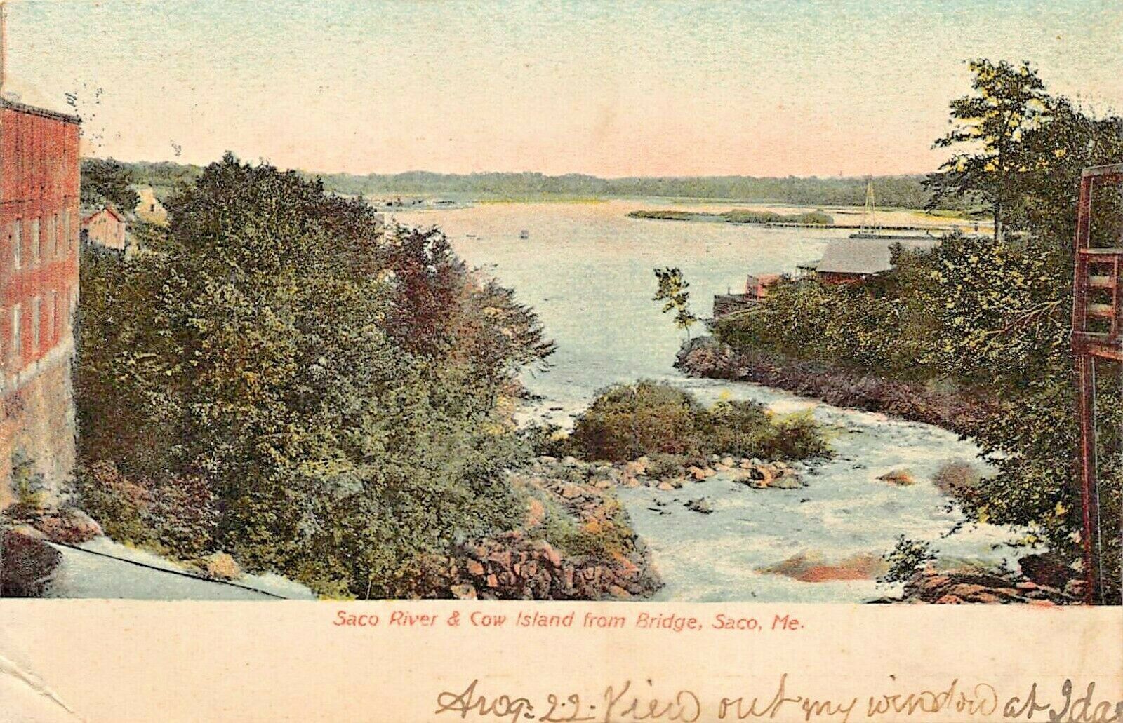 Saco Maine~Saco River-Cow Island From Cataract Bridge~1906 Tinted Photo ...