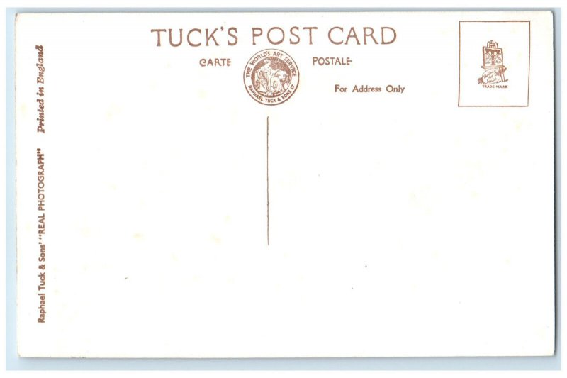 c1930's The Clwyd Gate Ruthin Denbighshire Wales Tuck Art RPPC Photo ...