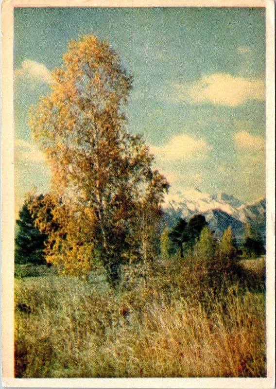 Vintage Continental Size Postcard Foothills and Mountain View Siberia ...