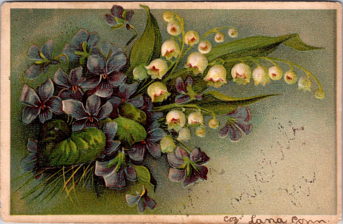 Rare Hard to Find - Vintage Birthday Greeting Postcard with different ...