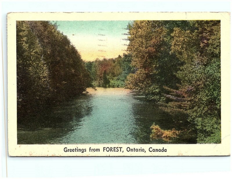 Postcard Canada Ontario Forest Greetings from Forest Vintage Linen #2 ...