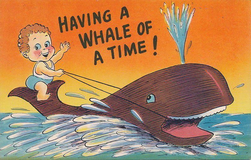 Having A Whale of a Time- Humor - Baby riding a Whale | Topics - Humour ...