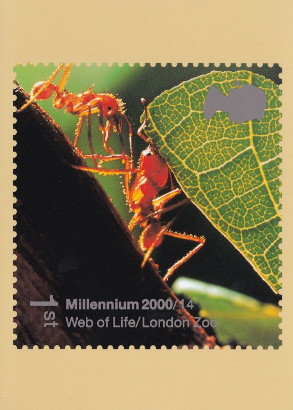 London Zoo Ants Lifting A Leaf Insect Limited Edition Postcard | Topics ...