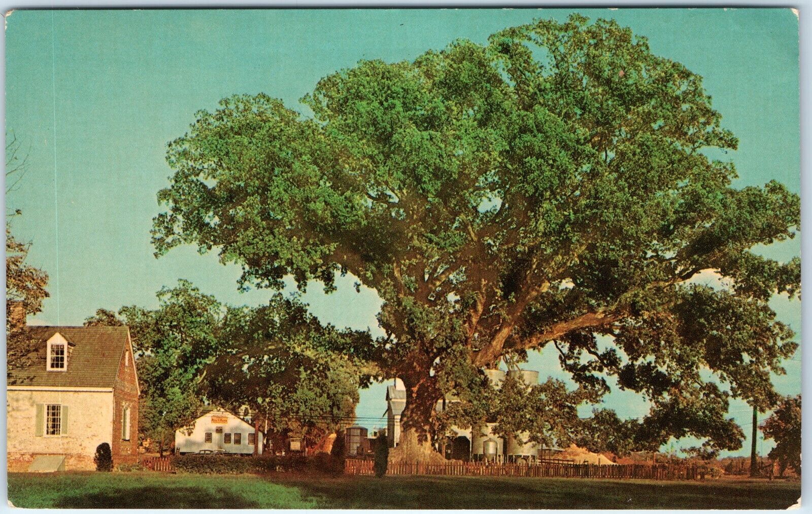 c1960s Wye Mills, MD Giant Old Oak Tree Schoolhouse School House Chrome ...