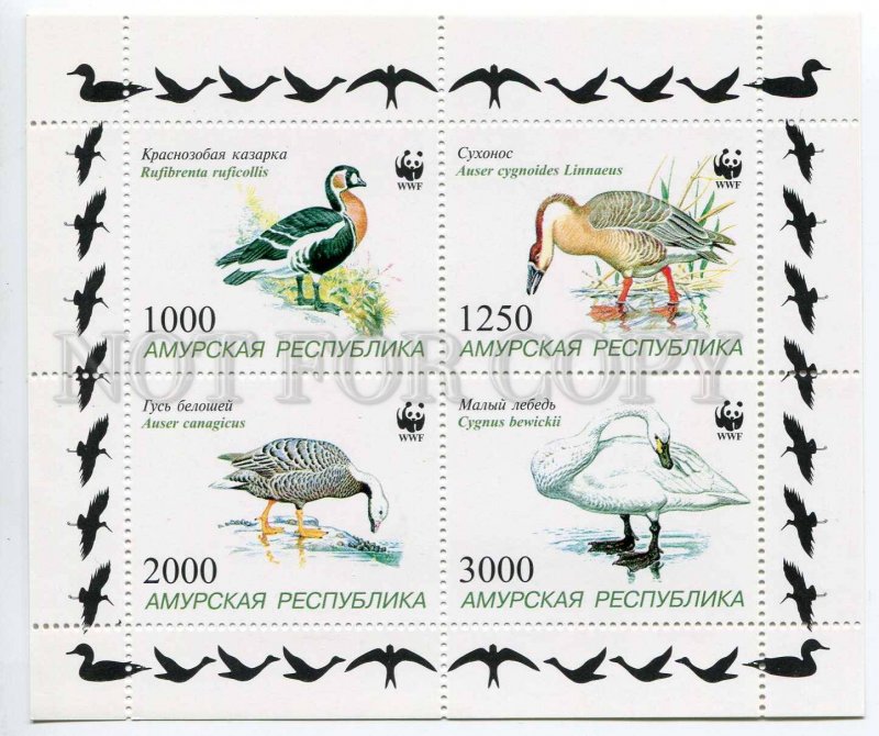 266574 RUSSIA AMURSKAYA MINT stamps set BIRD swan duck WWF | Topics ...