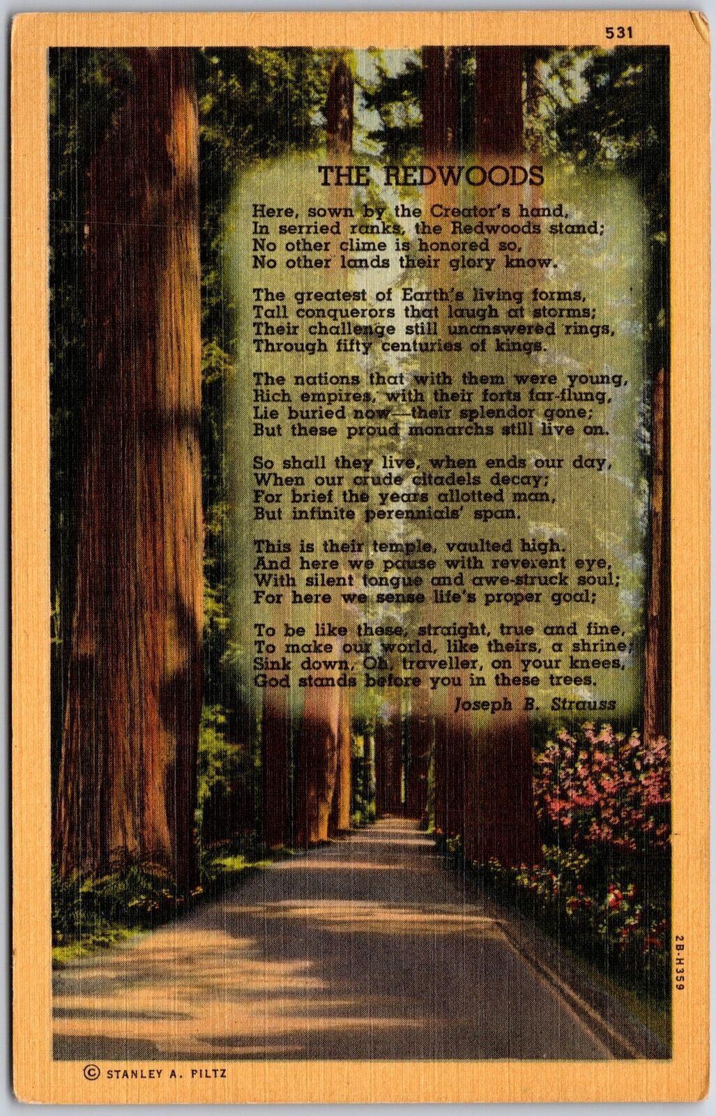 The Redwoods Poem By Joseph B. Strauss Pathway Flowers Trees Postcard ...