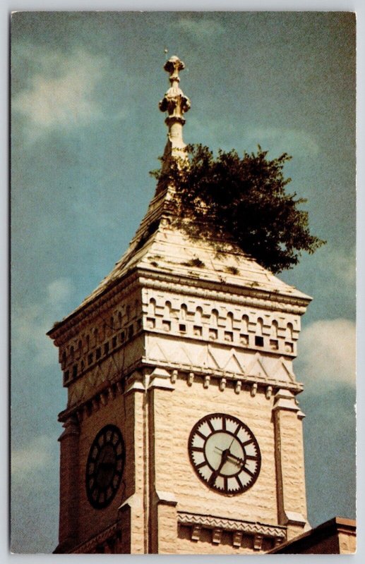 Greensburg Tree Courthouse Clock Tower Indiana IN Dallas Whippe Photo ...