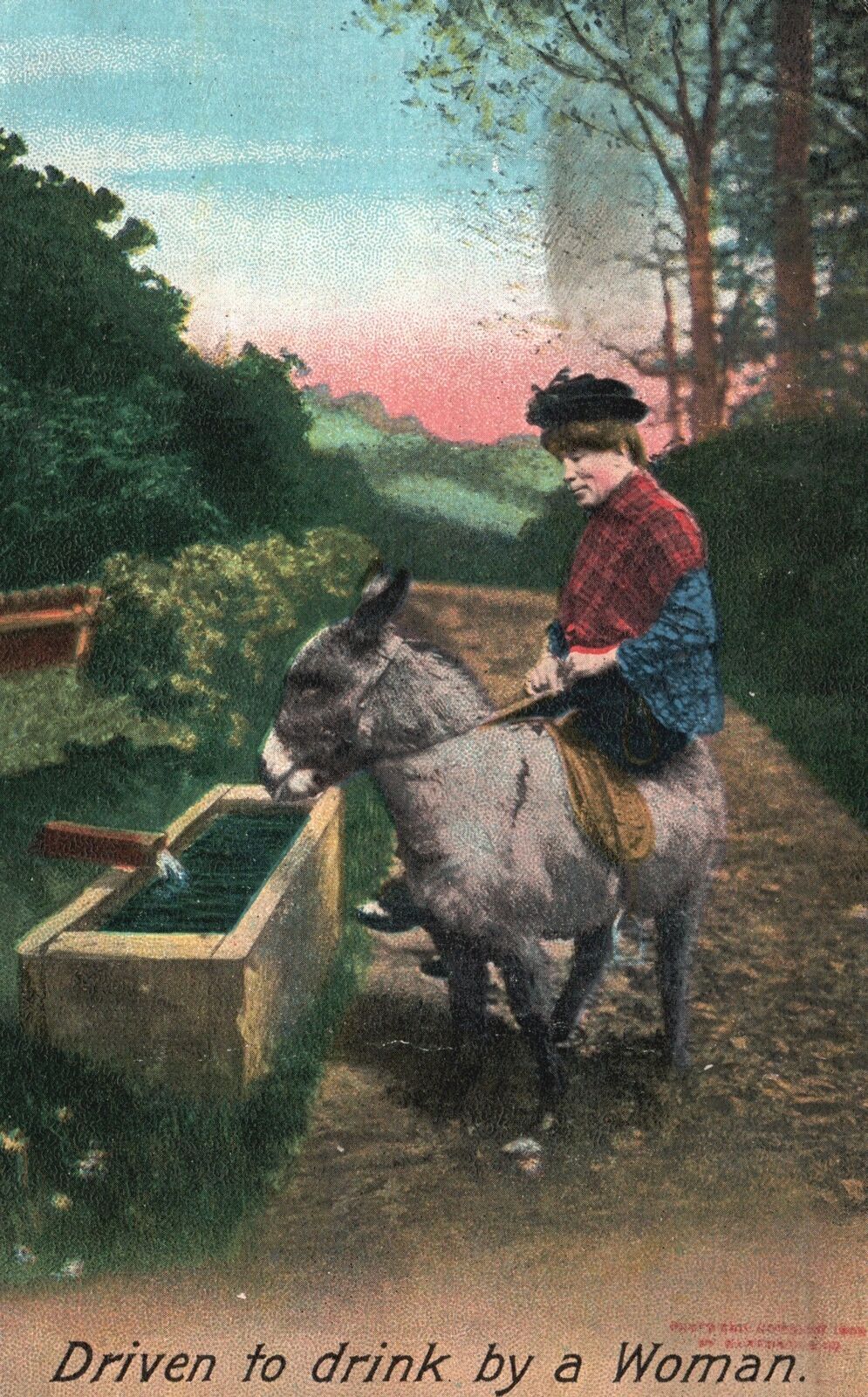 Vintage Postcard 1910's Riding On A Donkey Driven To Drink By A Woman ...