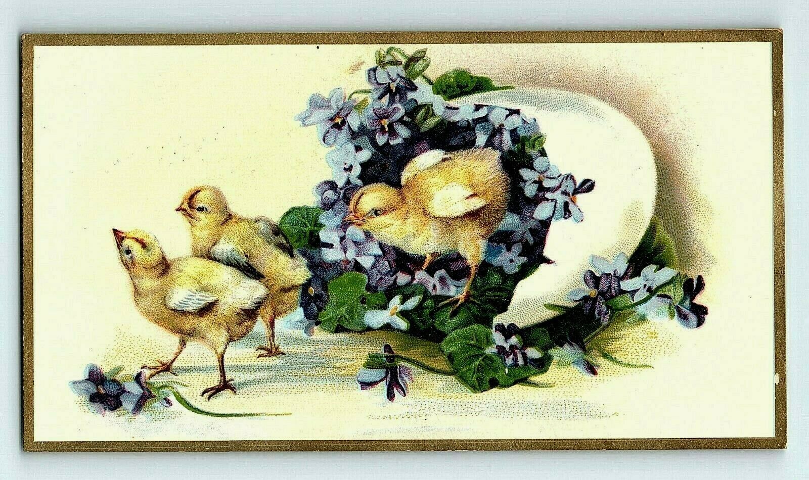1880's-90's Victorian Easter Card Baby Chicks Hatching Egg Adorable! 7E ...