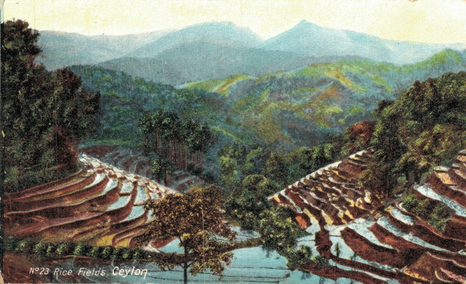 Ceylon Rice Fields Sri Lanka 05.71 | Other / Unsorted, Postcard ...