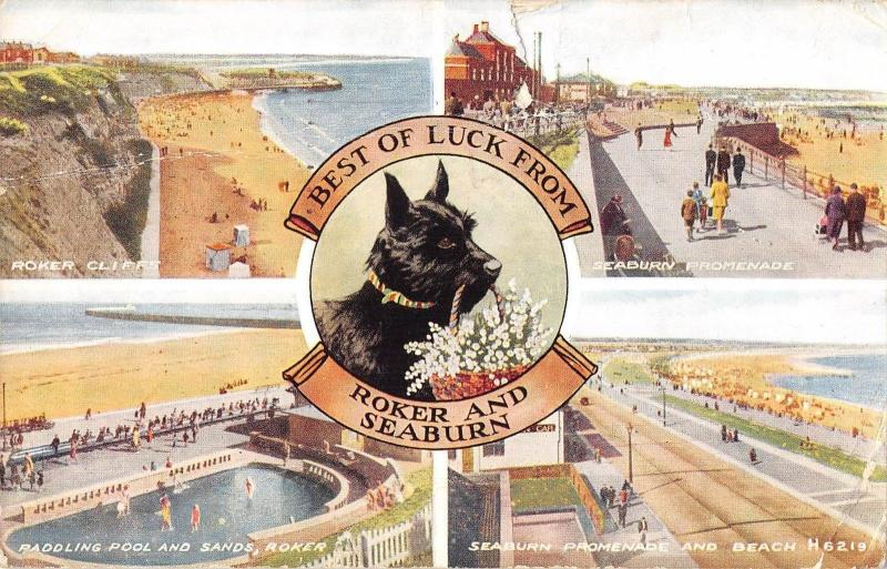 BR099973 roker and seaburn paddling pool sands rioker uk dog valentine ...