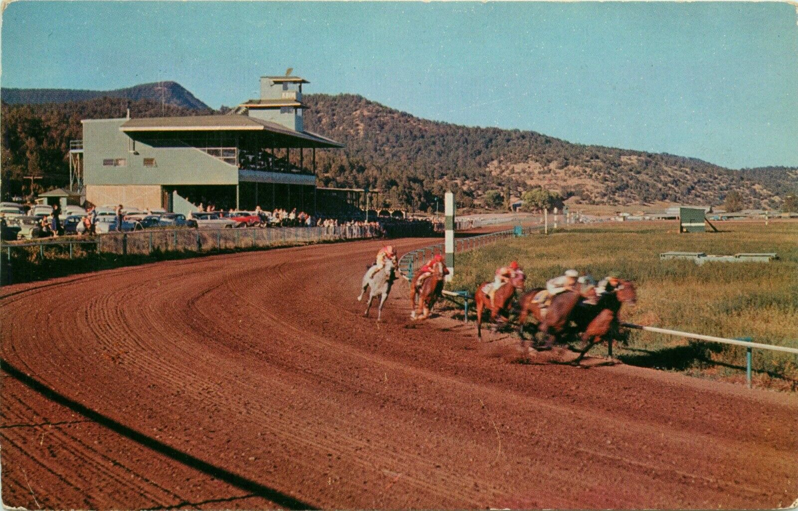 1950s Ruidoso Downs New Mexico , Horse Racing - Vintage Postcard ...